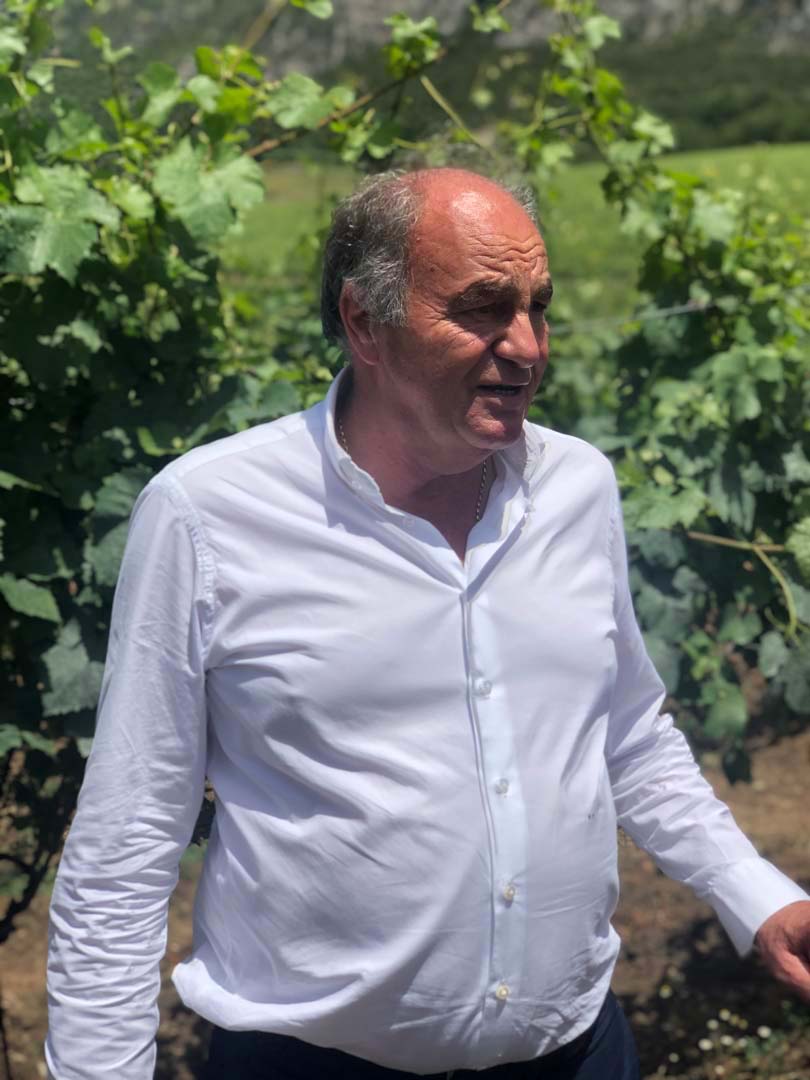 Cilento's renaissance starts with wine and buffalos - The Italian Wine Girl