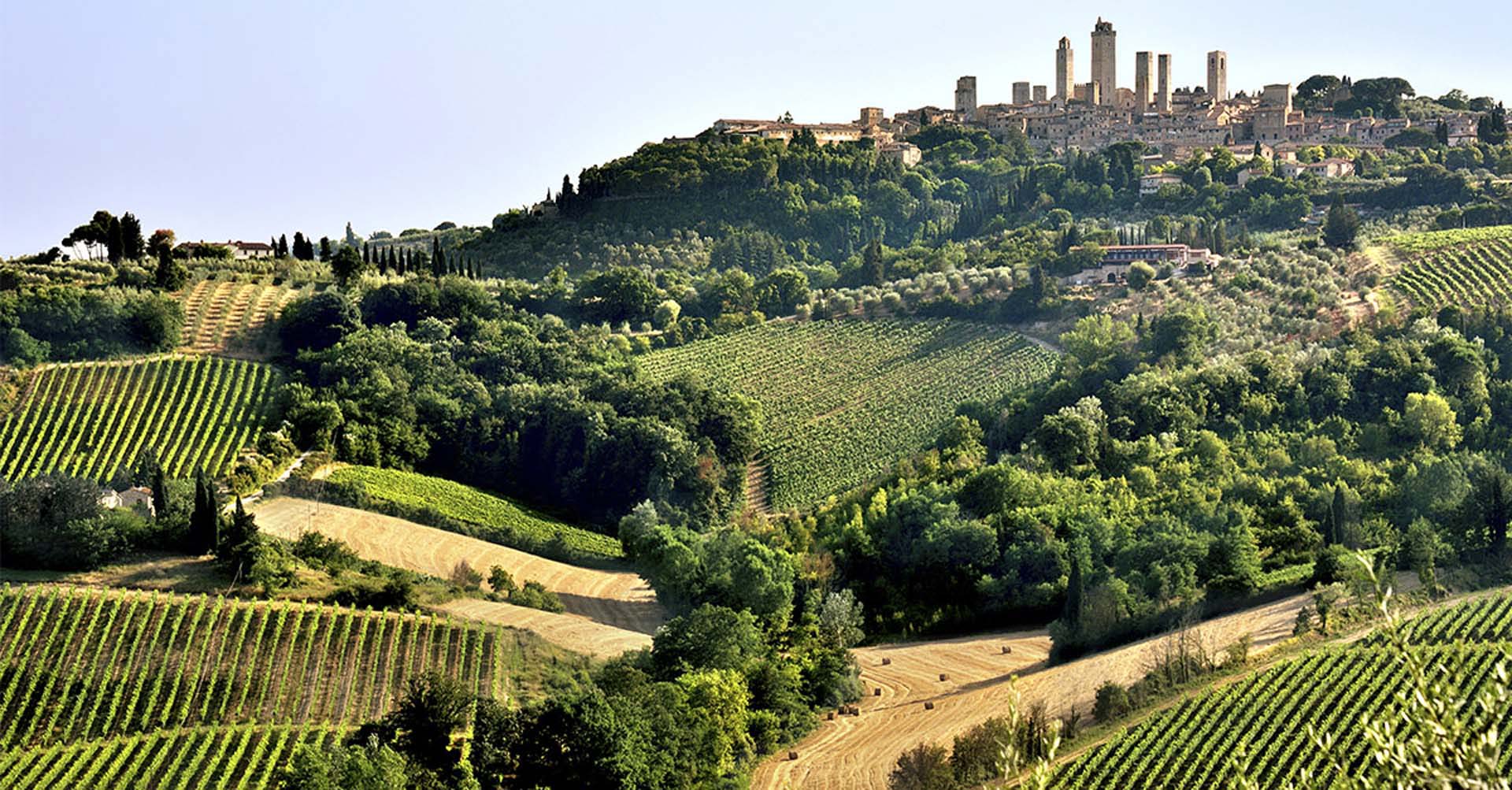 The Cal-Ital Sangiovese - The Italian Wine Girl