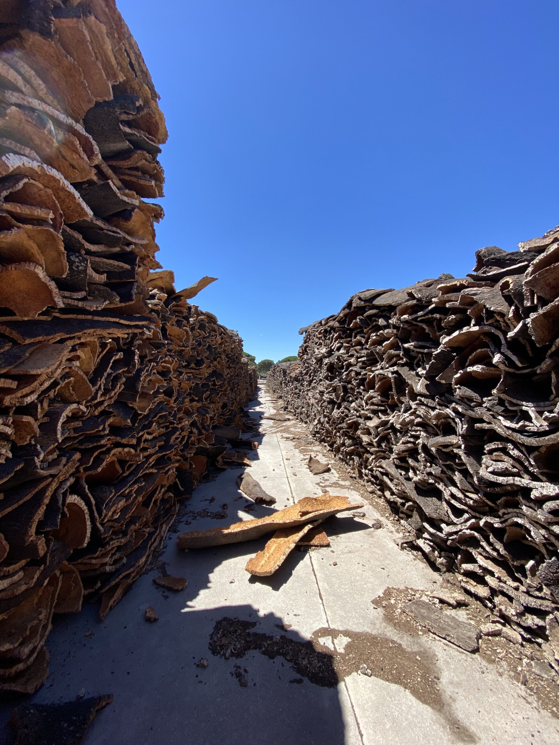 Inside a natural cork - The Italian Wine Girl